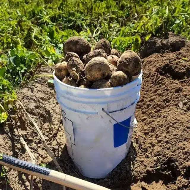 AgHub - Trical Group