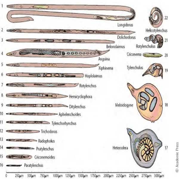 AgHub - Trical Group
