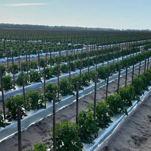 AgHub - Trical Group